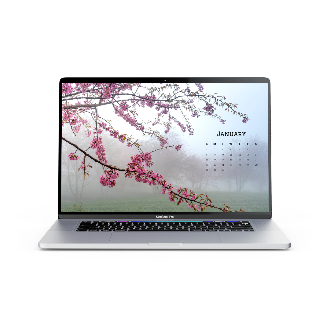 JANUARY 2023 WALLPAPERS– templix